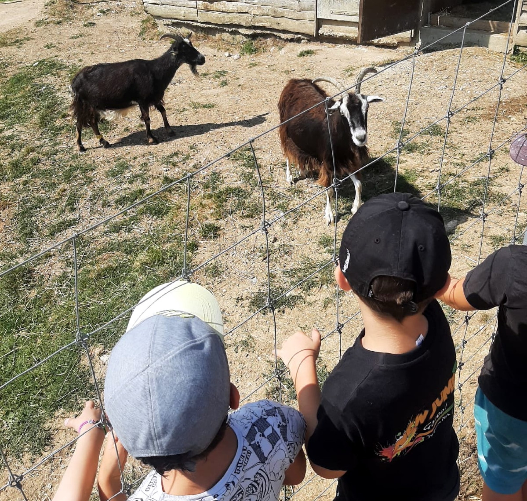 Le centre de loisirs de Cangé – Pour passer des vacances de qualité à ...