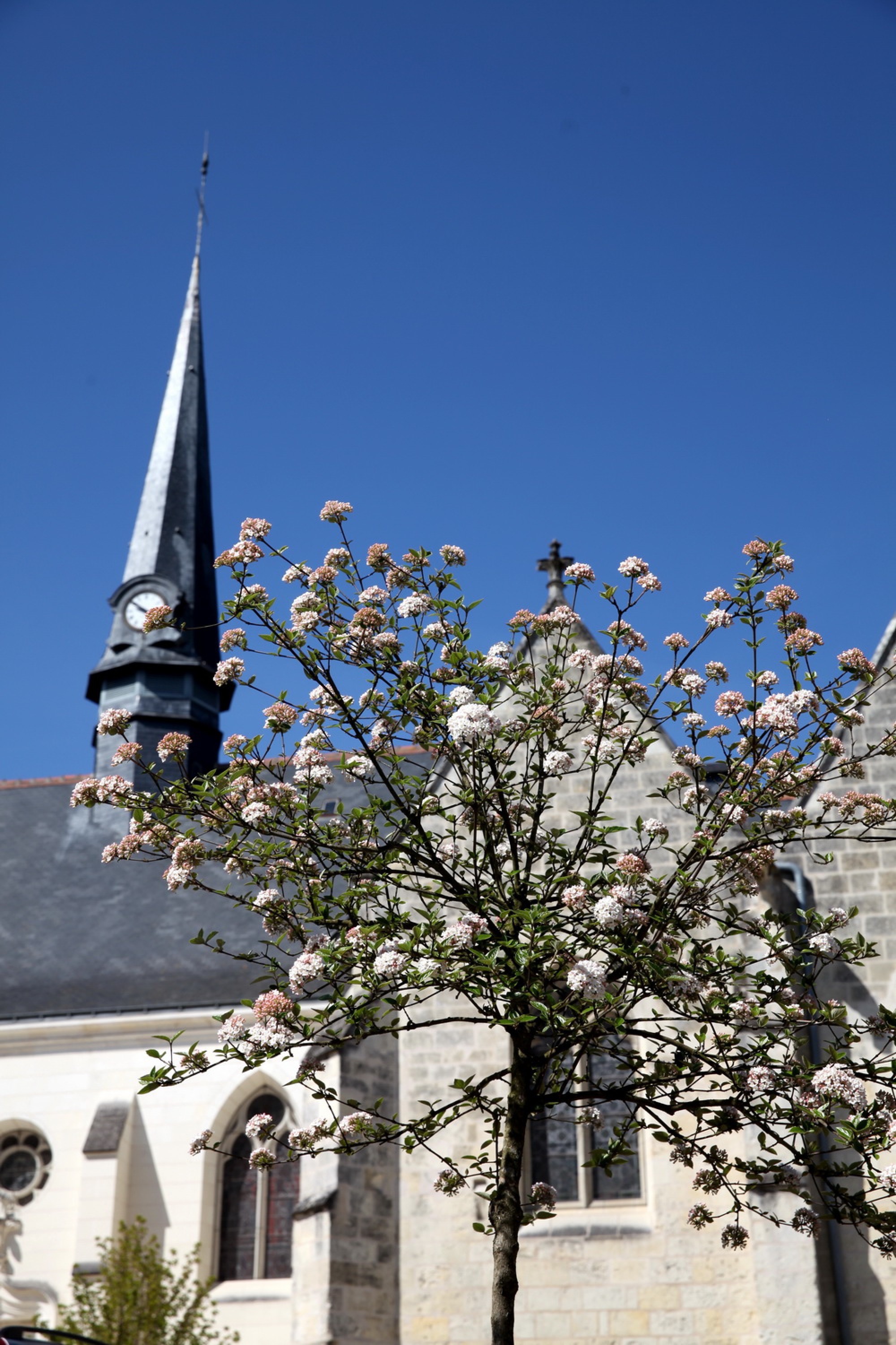 Saint-Avertin en images